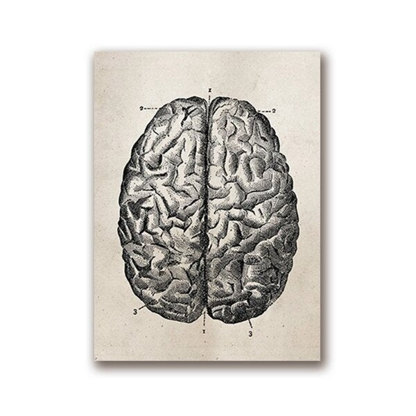 Steampunk brain drawing | My Steampunk Style – my-steampunk-style